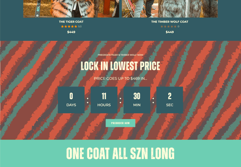 8 Shopify Countdown Timer Examples You Can Replicate for Free