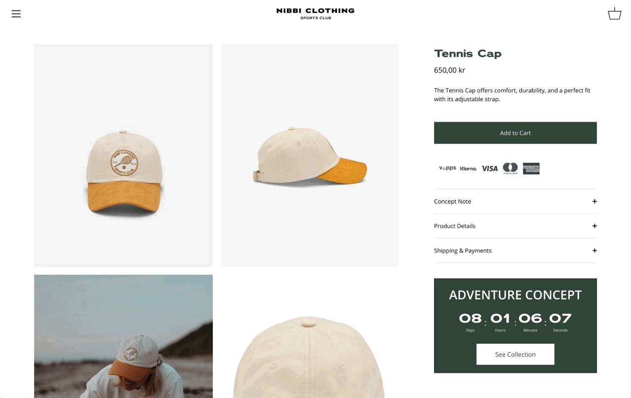 8 Shopify Countdown Timer Examples You Can Replicate for Free