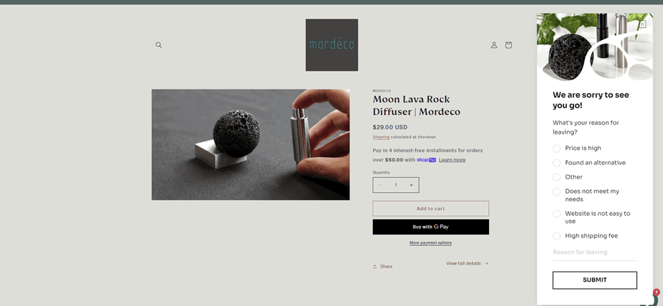 18 Best Website Survey Questions to Understand Your Visitors