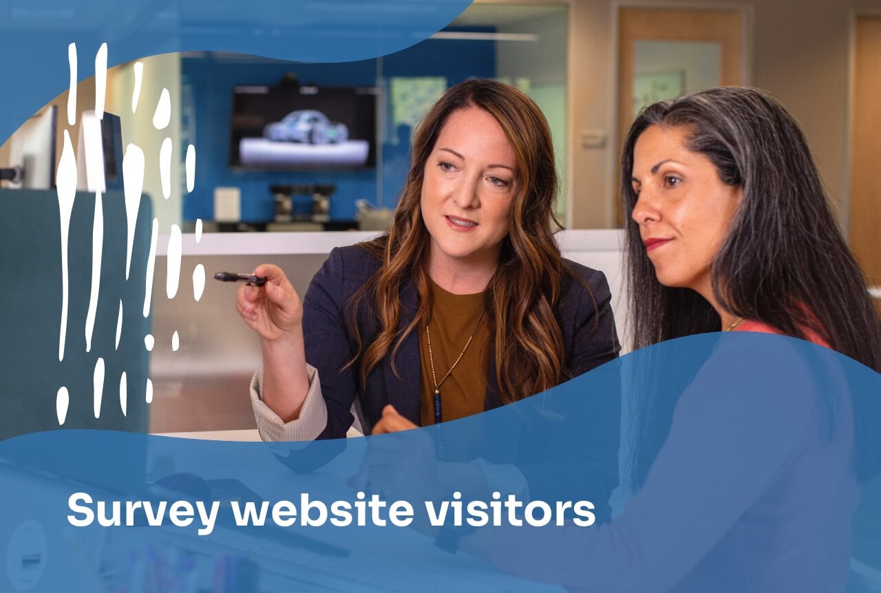 16 Website Survey Questions to Understand Your Visitors (Real Examples)