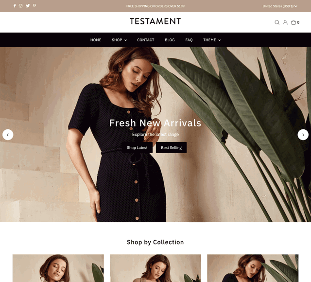 12 Best Streetwear Shopify Themes Under $400 (2025 Edition)