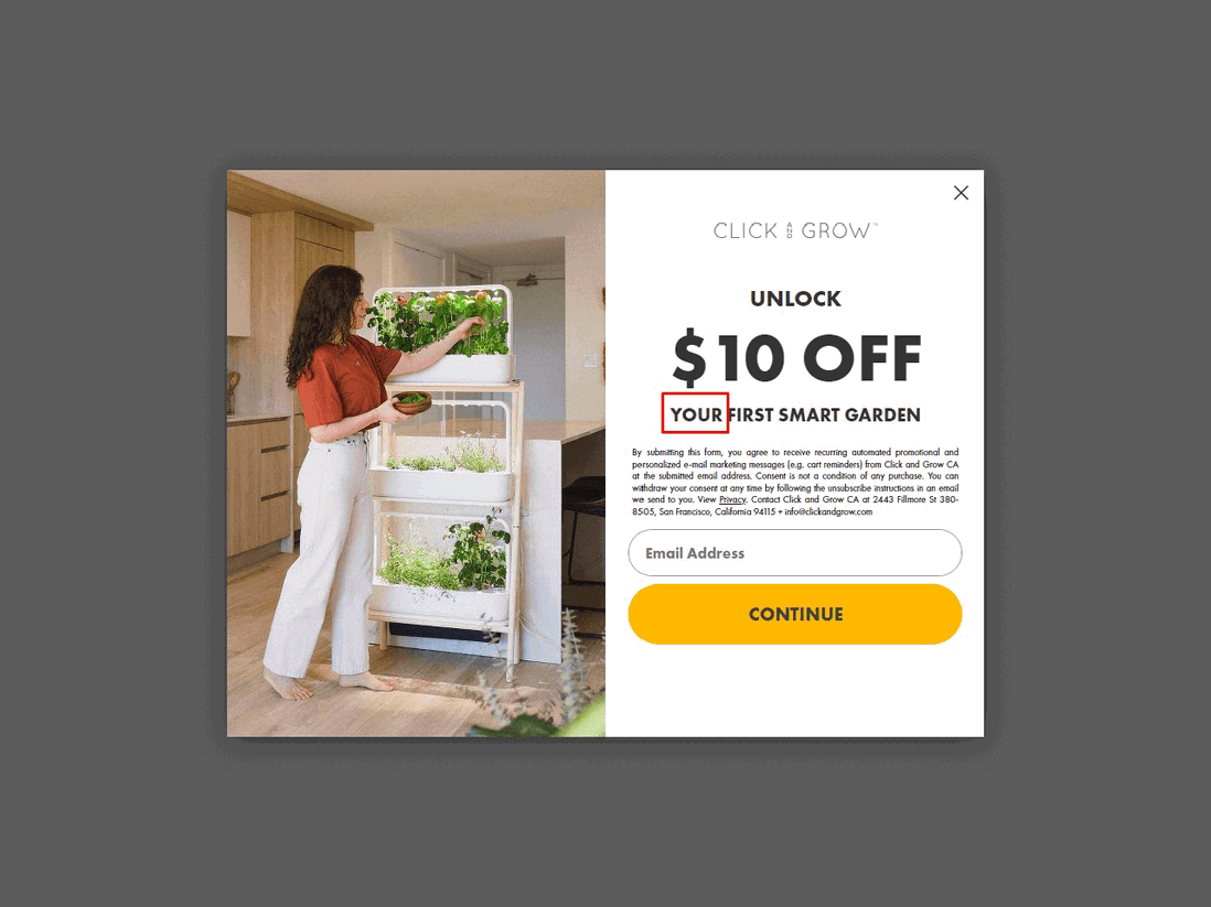 9 Discount Promotion Popups You Can Steal (Plus, Best Practices)