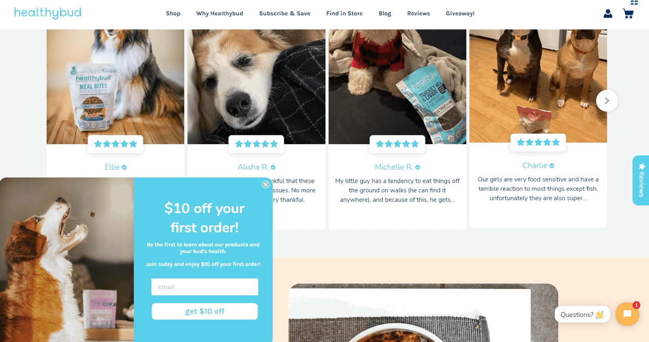 9 Discount Promotion Popups You Can Steal (Plus, Best Practices)