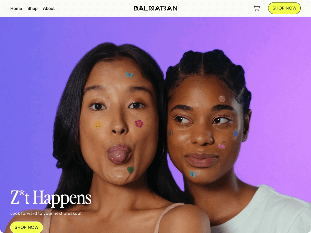 How to Pick a Single-Product Shopify Theme (+ 10 Best Ones)