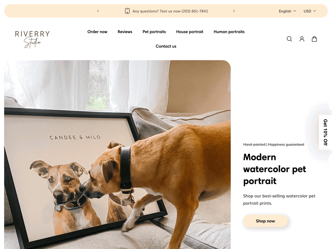 7 Successful Shopify Art Store Examples to Inspire Your Own