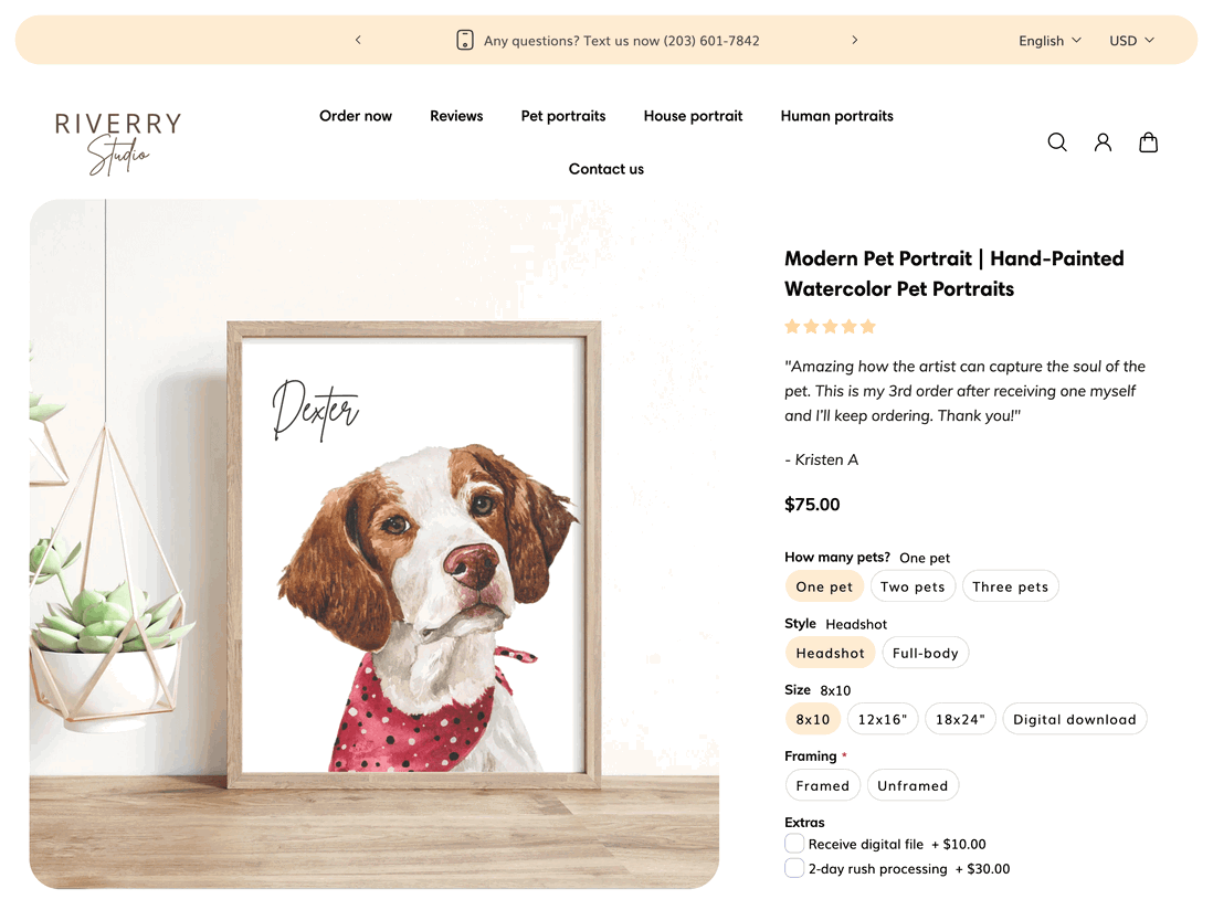 7 Successful Shopify Art Store Examples to Inspire Your Own