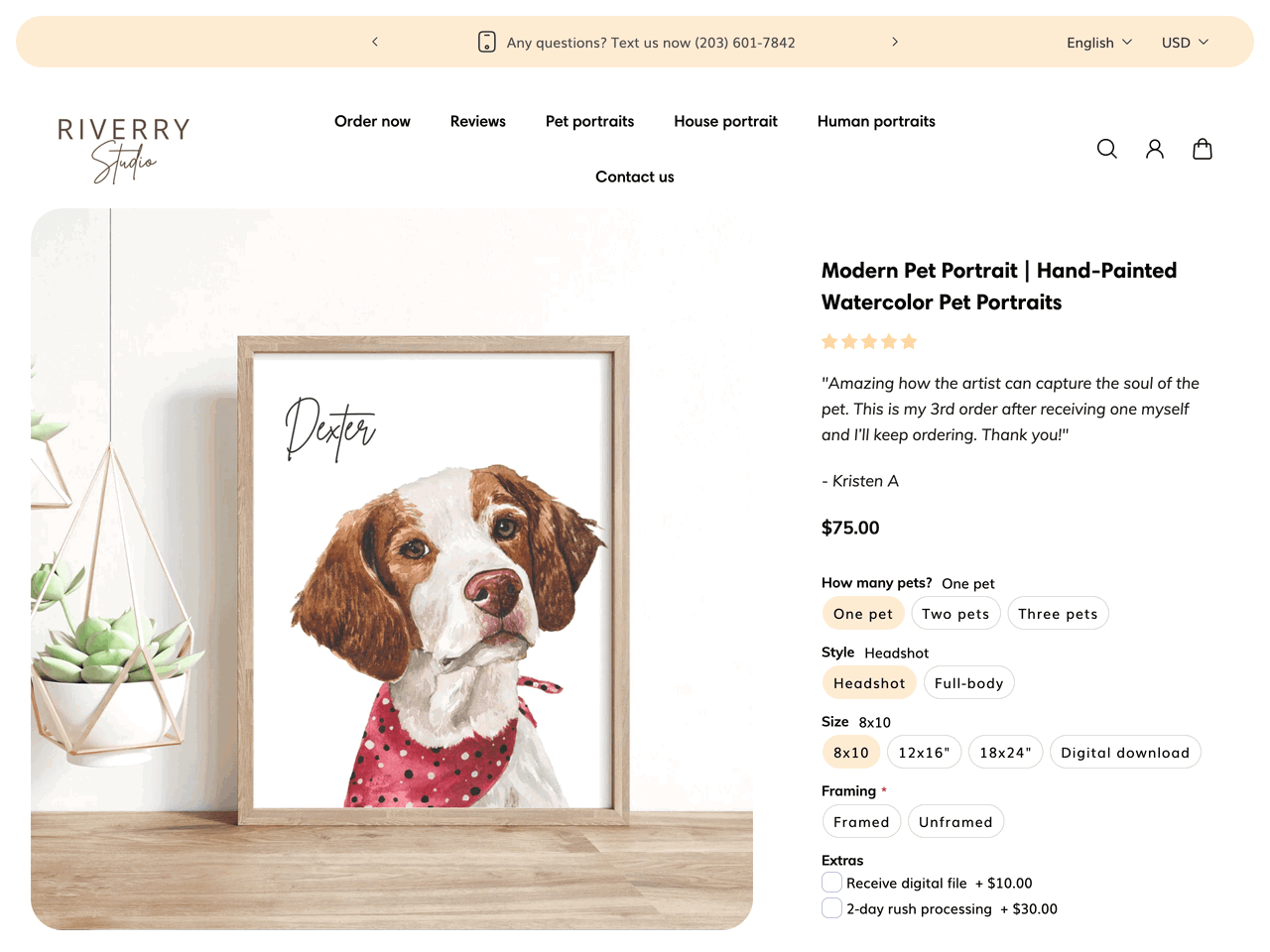 7 Successful Shopify Art Store Examples to Inspire Your Own
