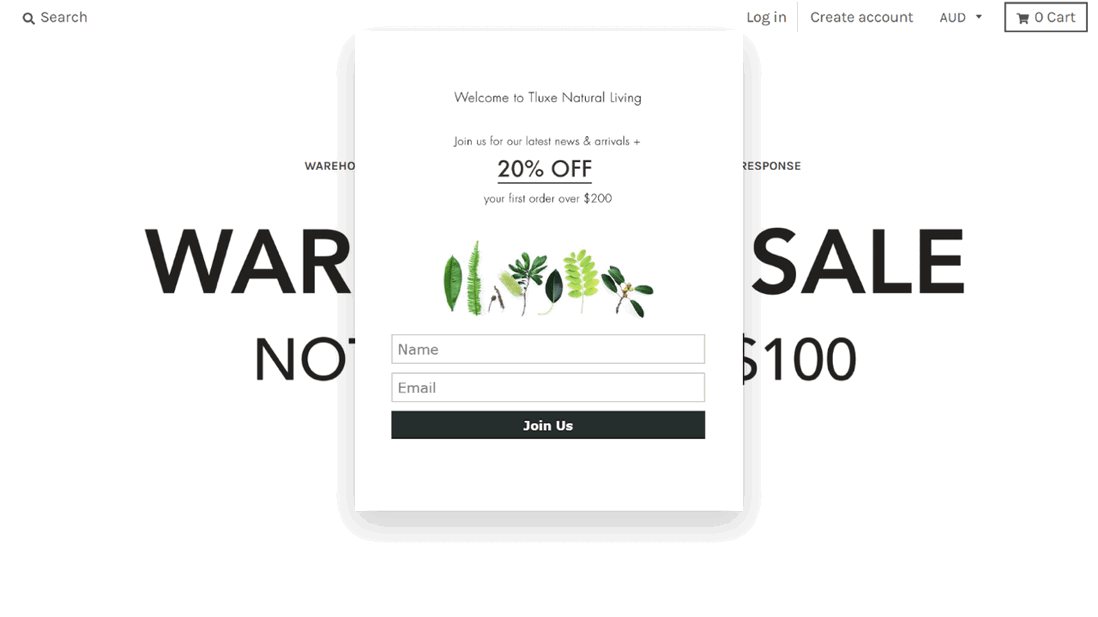 10 Shopify Popup Examples that Convert + How to Copy Them