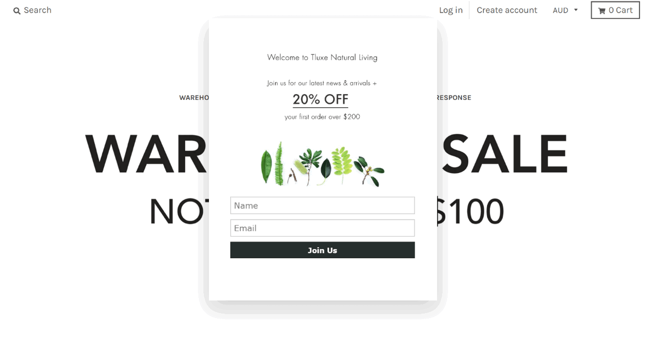 10 Shopify Popup Examples that Convert + How to Copy Them