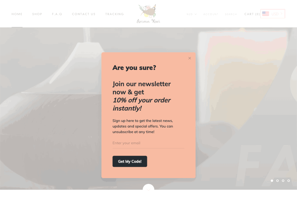 10 Shopify Popup Examples That Convert How To Copy Them
