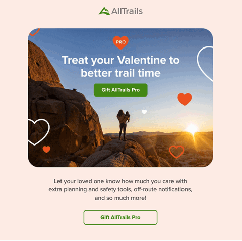 20+ Valentine’s Email Campaign Examples That Will Inspire You