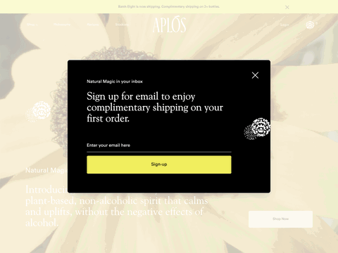 Your Guide to Website Popups + 30 Popup Examples for Ecommerce