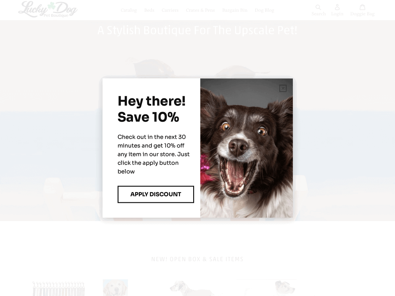 Your Guide to Website Popups + 30 Popup Examples for Ecommerce