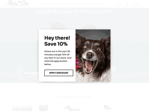 Your Guide to Website Popups + 30 Popup Examples for Ecommerce
