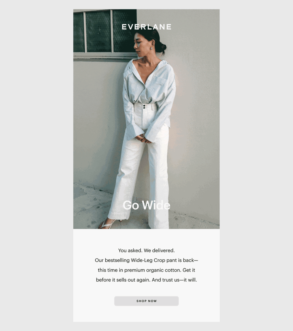 12 Examples of Back-in-Stock Emails, and How to Write Your Own