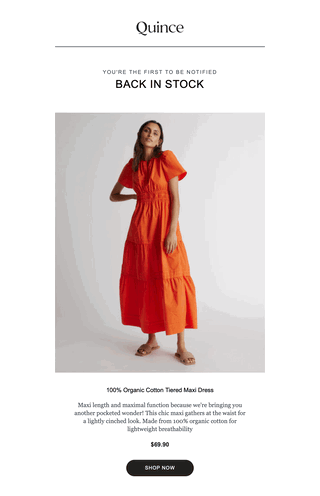 12 Examples of Back-in-Stock Emails, and How to Write Your Own