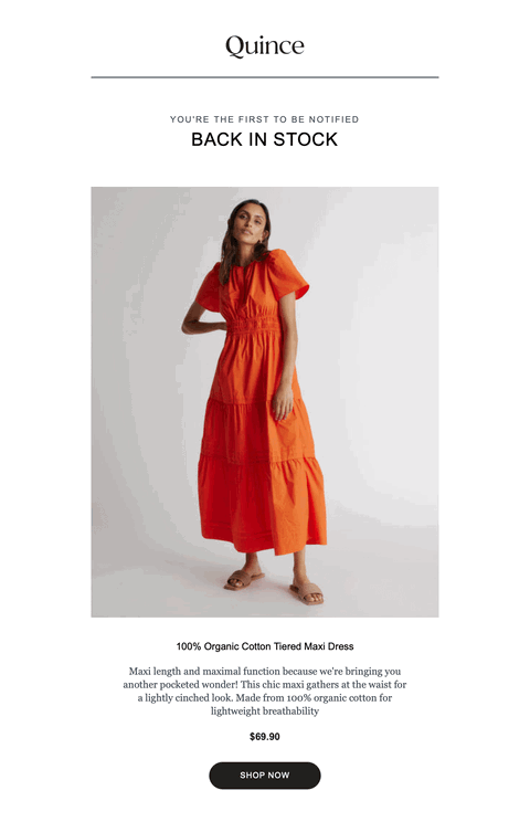 12 Examples of Back-in-Stock Emails, and How to Write Your Own