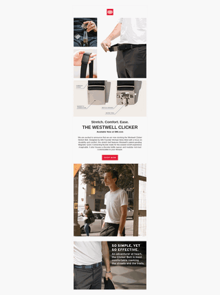 12 Examples of Back-in-Stock Emails, and How to Write Your Own