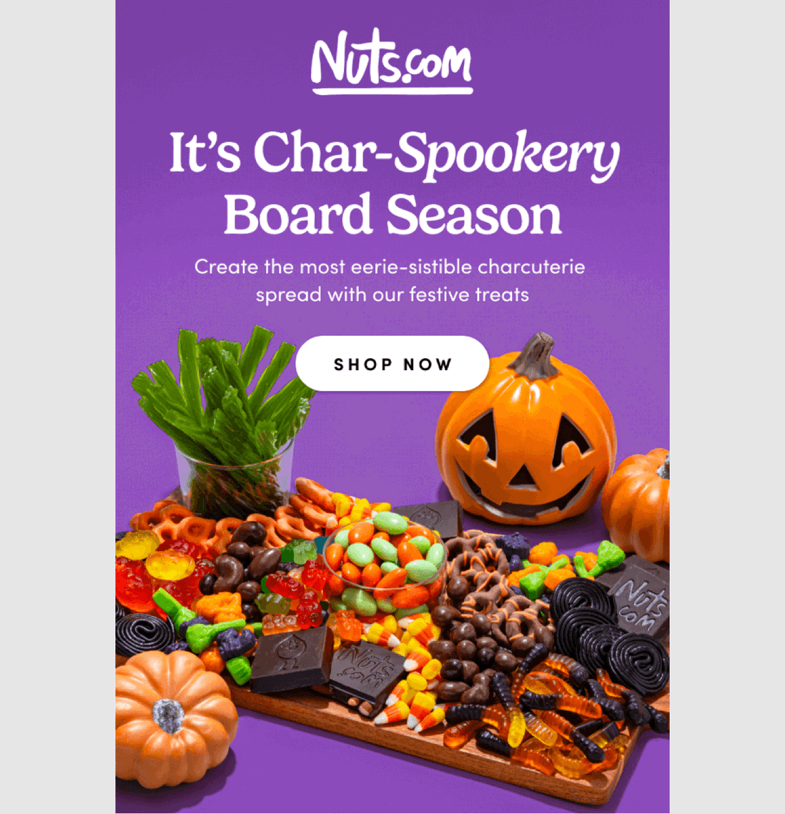 22 Fall Newsletter Ideas for Your Online Store (Plus Templates)