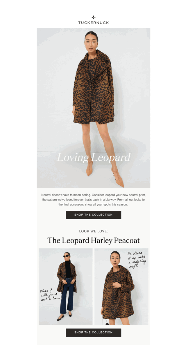 22 Fall Newsletter Ideas for Your Online Store (Plus Templates)