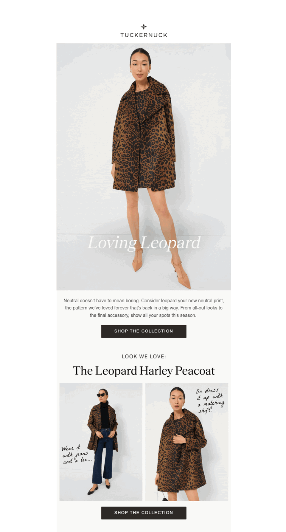 22 Fall Newsletter Ideas for Your Online Store (Plus Templates)