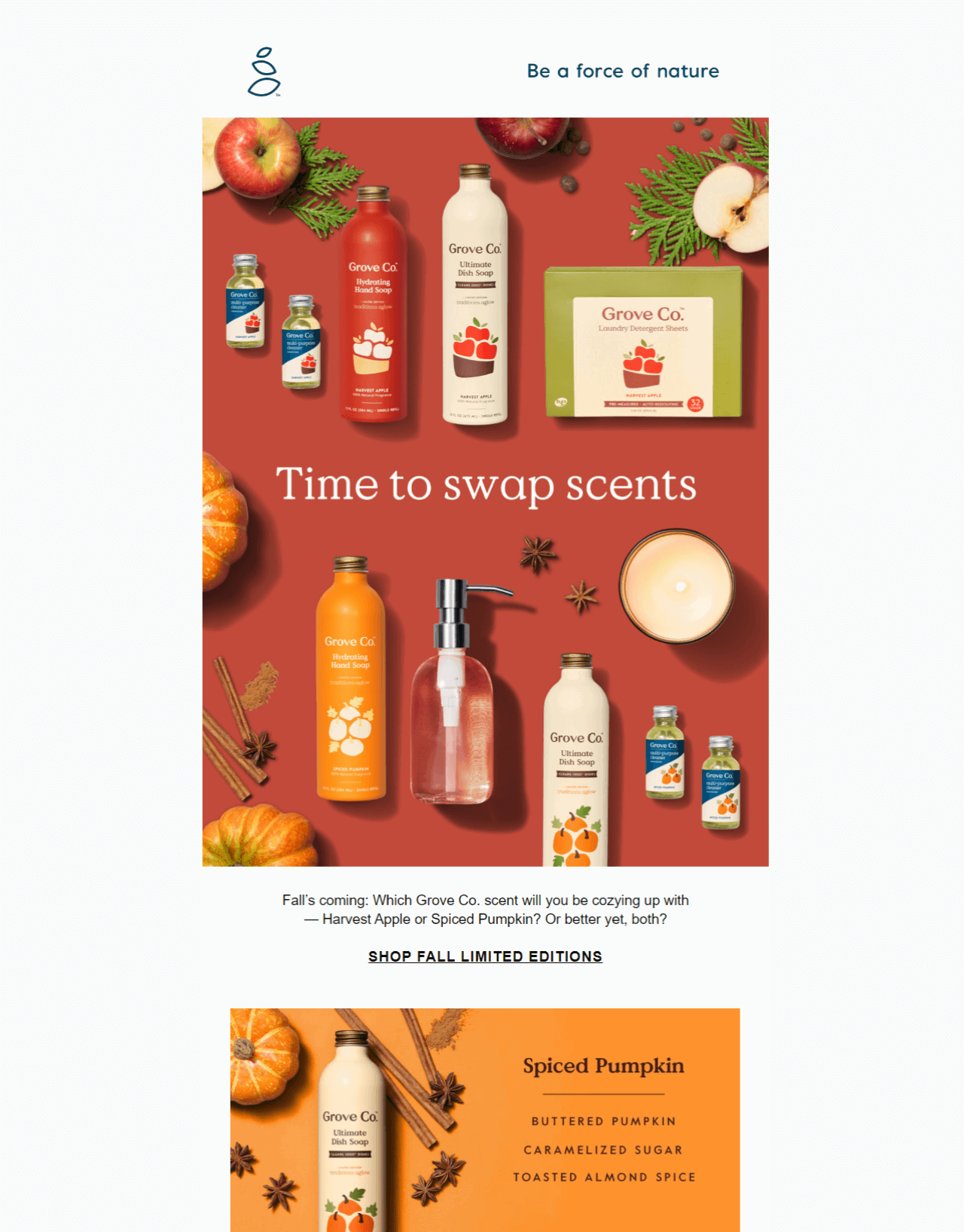 22 Fall Newsletter Ideas for Your Online Store (Plus Templates)