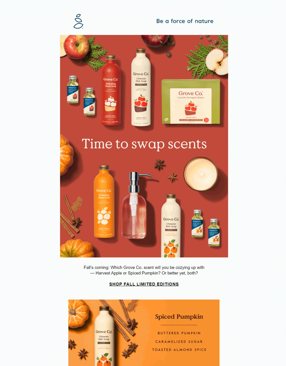 22 Fall Newsletter Ideas for Your Online Store (Plus Templates)