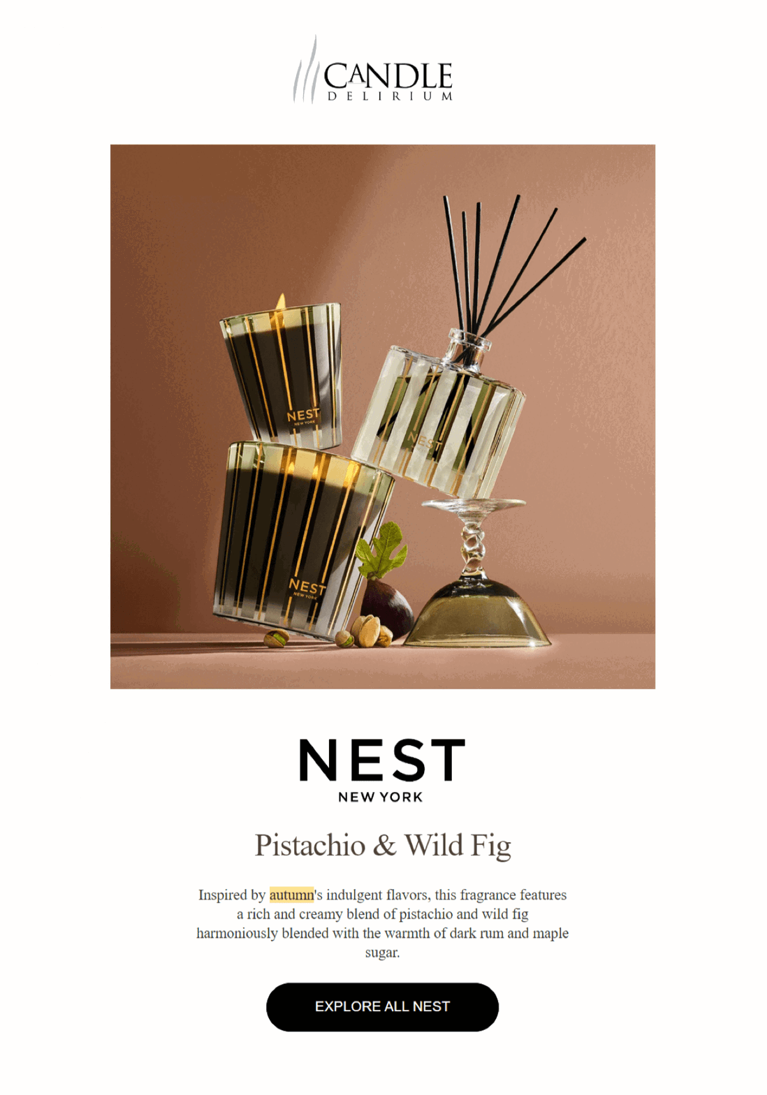 22 Fall Newsletter Ideas for Your Online Store (Plus Templates)