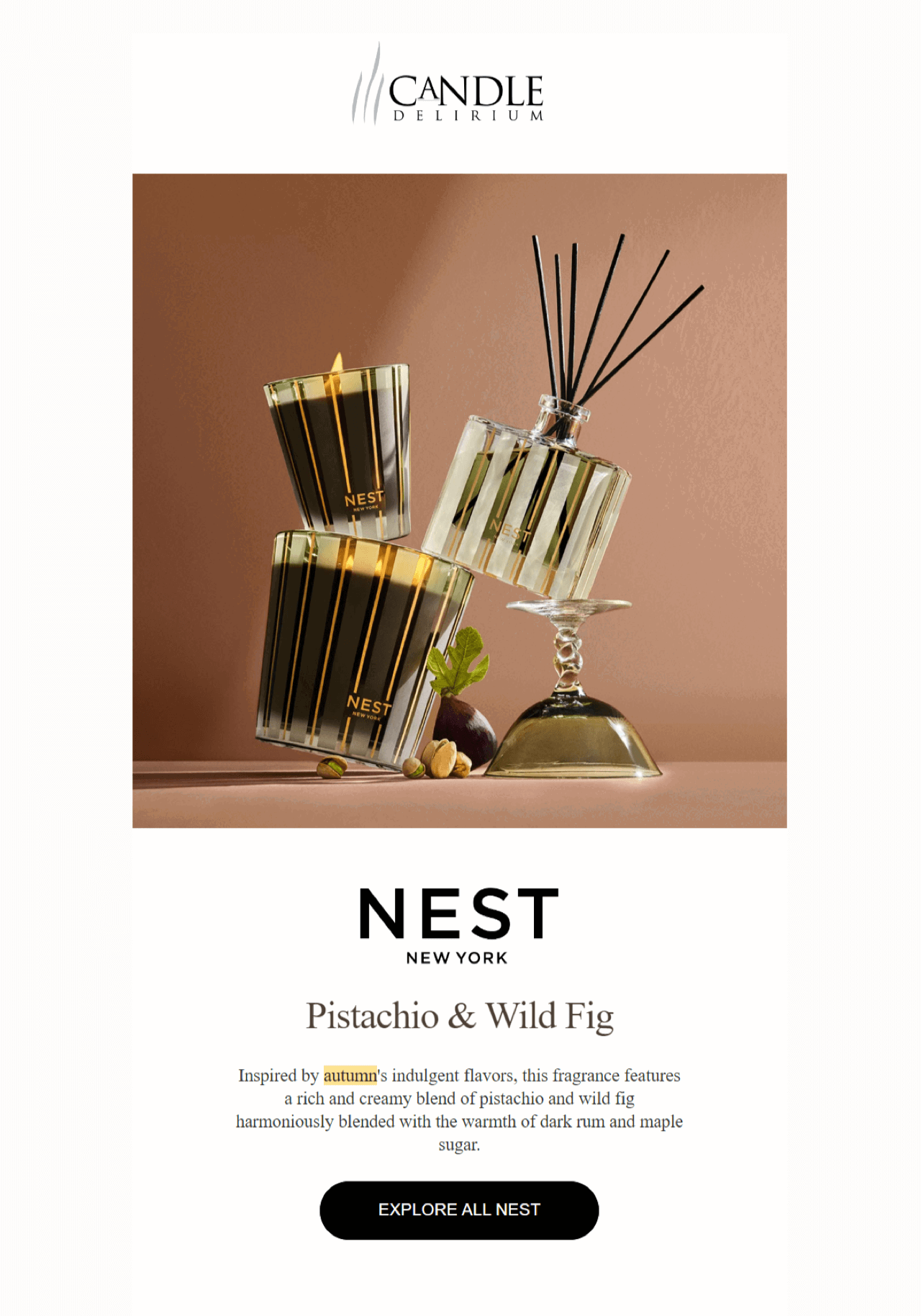 22 Fall Newsletter Ideas for Your Online Store (Plus Templates)