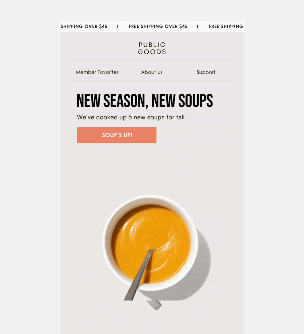 22 Fall Newsletter Ideas for Your Online Store (Plus Templates)