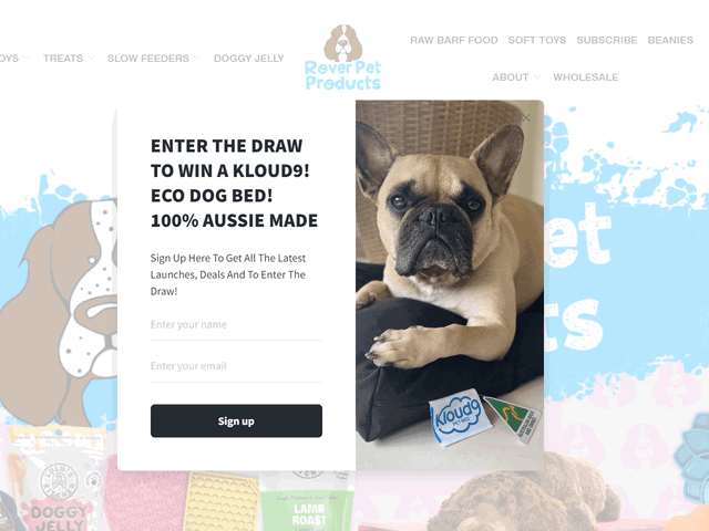 10 Email Newsletter Signup Form Examples & How to Create Your Own