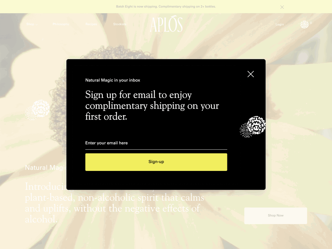 15 Email Newsletter Signup Form Examples & Templates