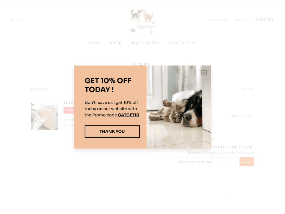 15 Exit Popup Examples That Convert – From Real Websites