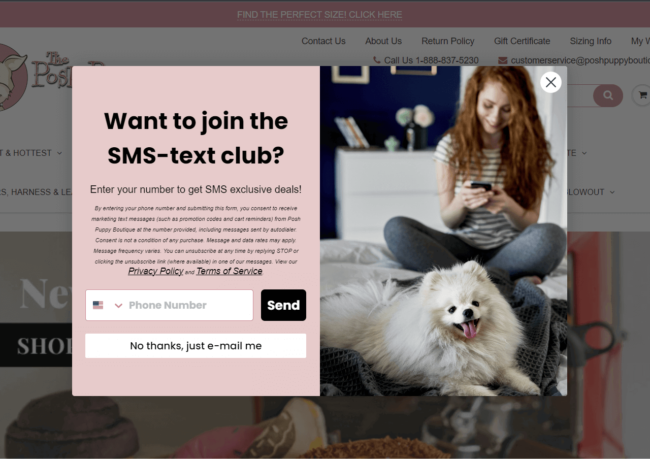 5 Steps to Start Collecting Phone Numbers for SMS Marketing