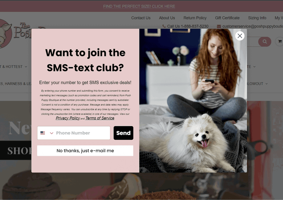 5 Steps to Start Collecting Phone Numbers for SMS Marketing
