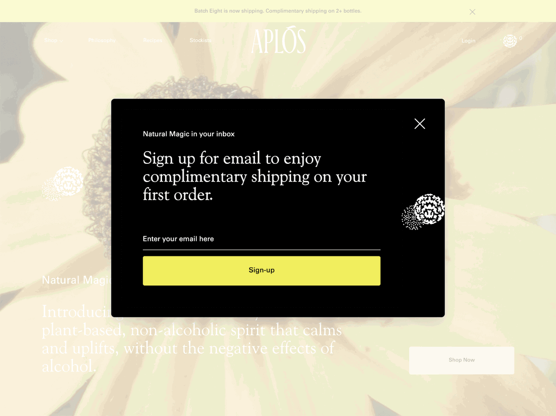 13 Popup Design Examples That Generate Leads