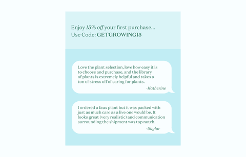 9 Epic “Thank You for Subscribing” Emails & How to Craft Your Own