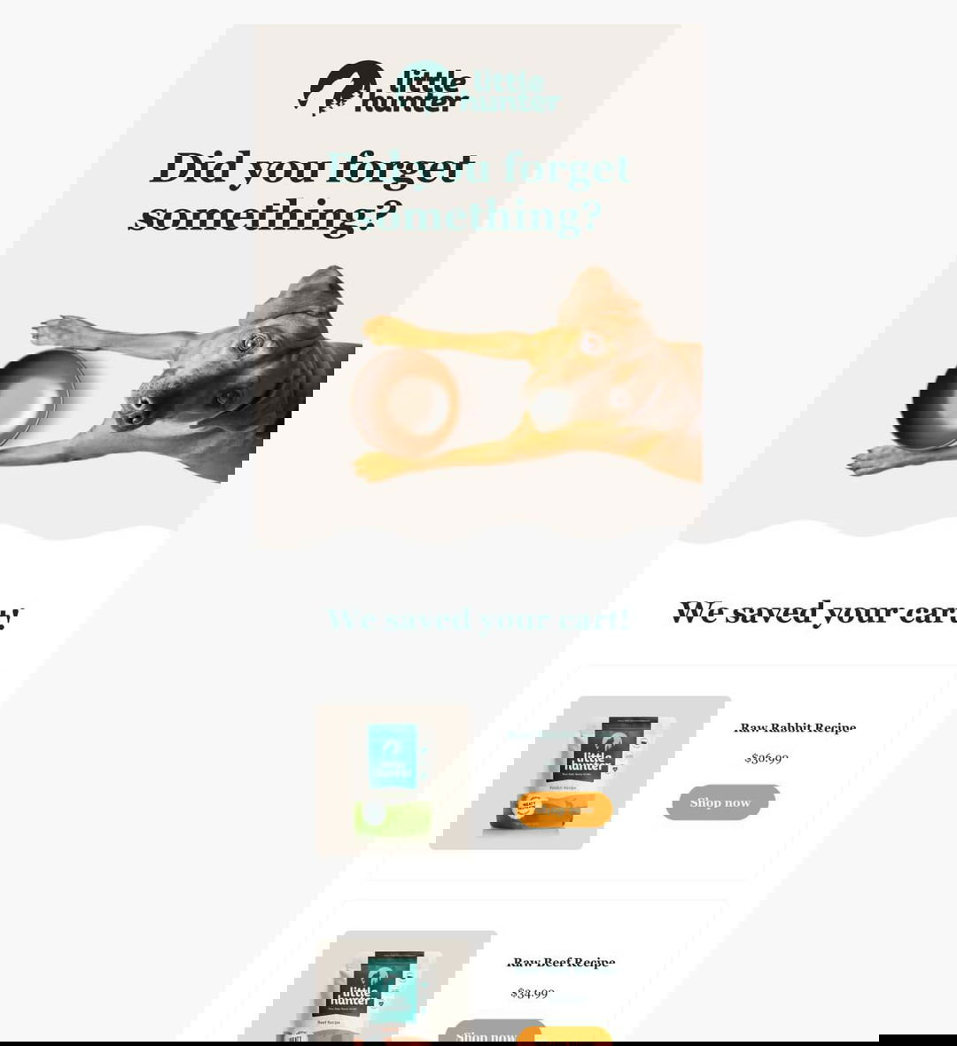 10 Examples of Limited-Time Offers & How to Create Your Own