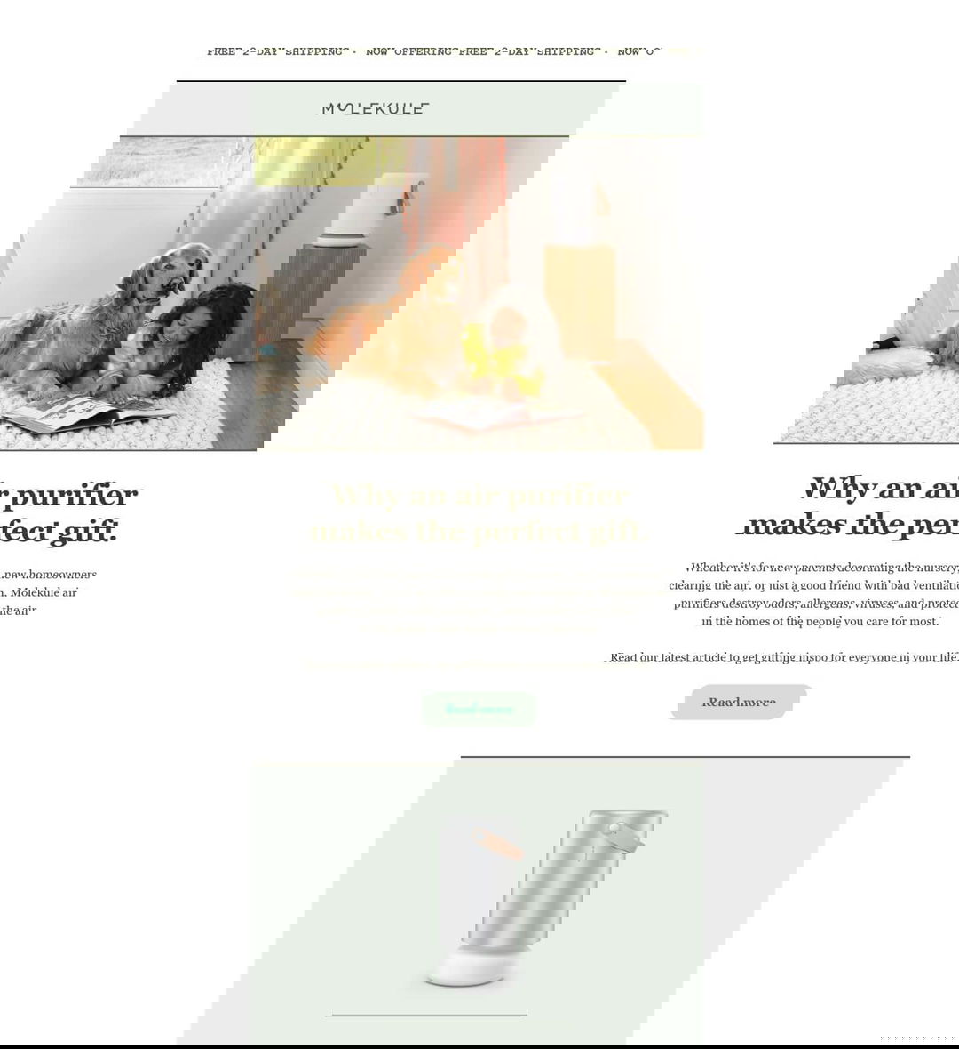 12 Examples of Back-in-Stock Emails, and How to Write Your Own