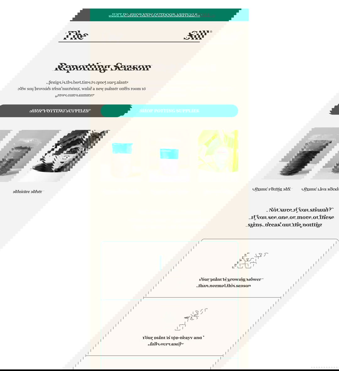 22 Gift Guide Email Examples for All Major Holidays (+ Templates)