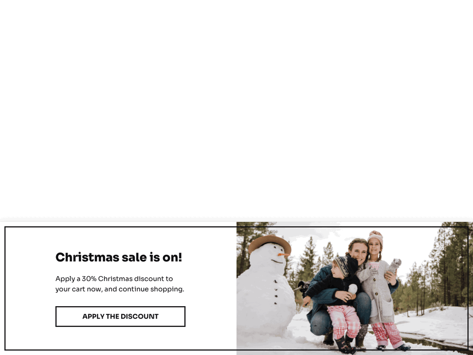 33+ Holiday Website Banners to Promote Sales and Coupons